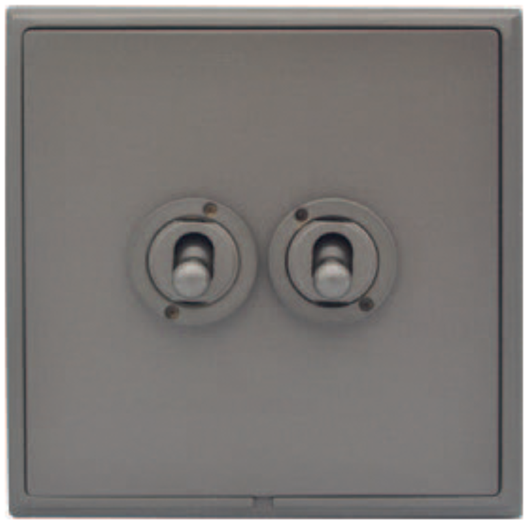 Hamilton Linea-Scala CFX Basalt Gray Frame/Basalt Gray Plate 2 Gang ...