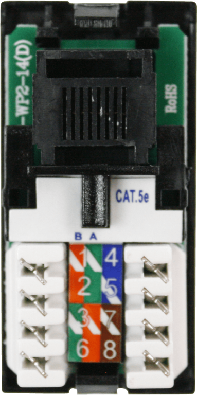 Click New Media Grey RJ45 CAT-5e Module | UKES