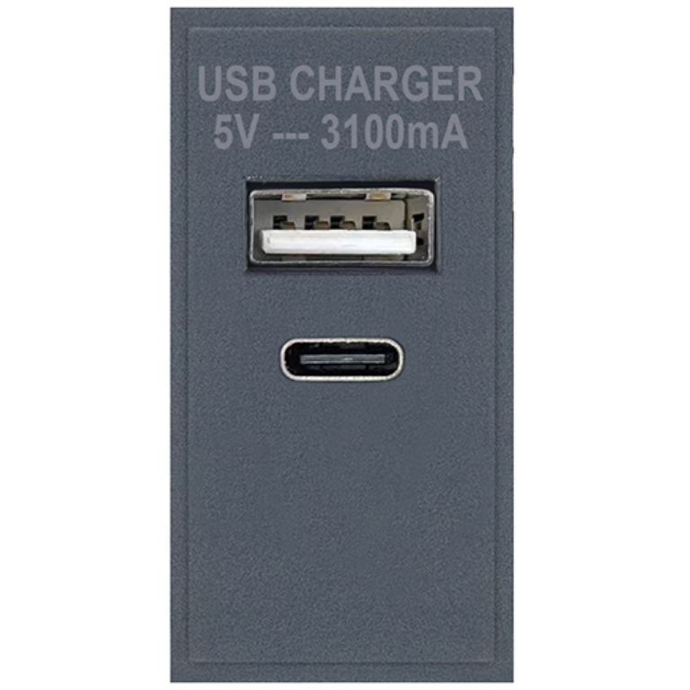 Selectric Grey USB Type A & USB Type C (3.1A) Module | UKES