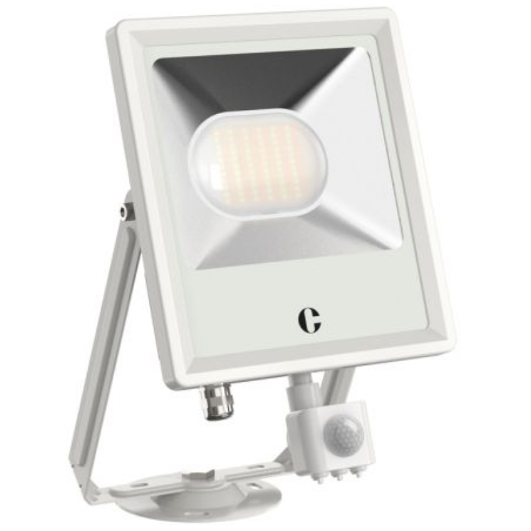 Collingwood Lighting FL05 50W CCT Switchable White IP65 LED Floodlight ...