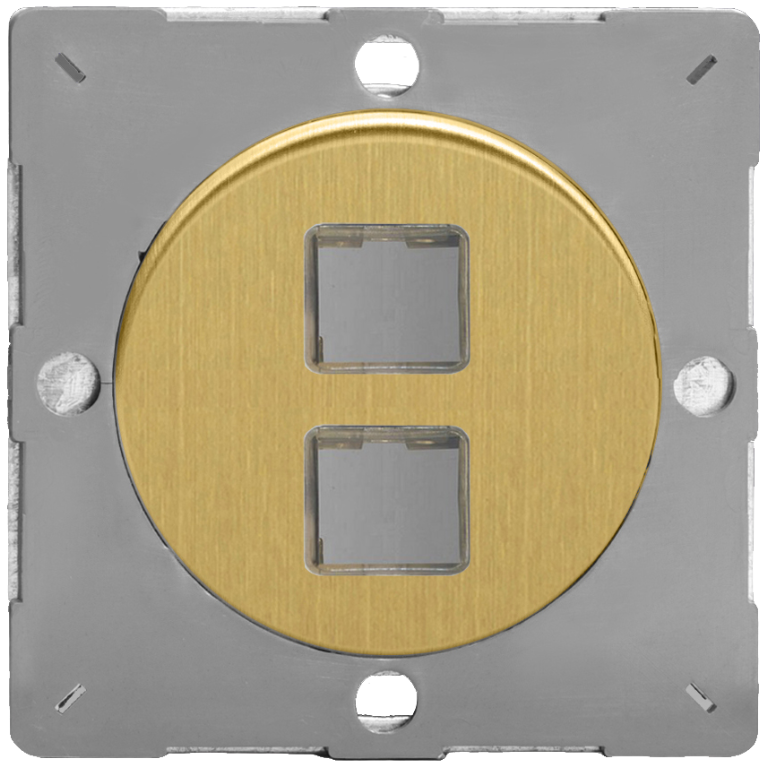 Varilight European VariGrid Brushed Brass 2 Gang EuroData Keystone Data ...