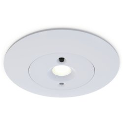 Ansell Emergency Lights at UK Electrical Supplies