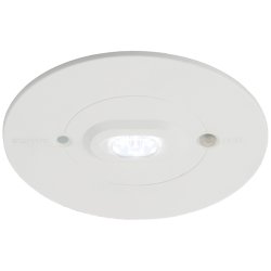 Ansell Emergency Lights at UK Electrical Supplies