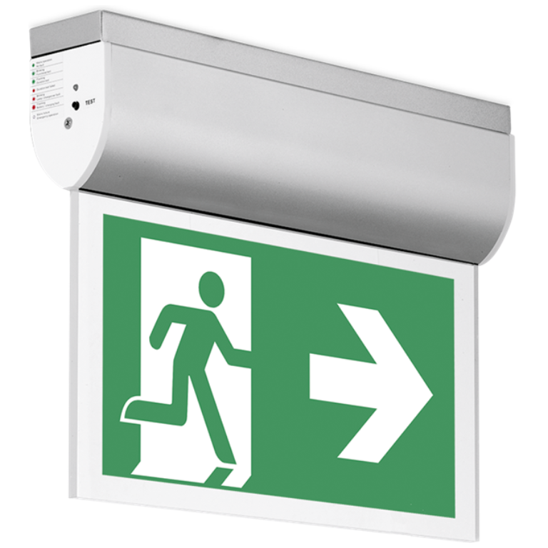 Aurora Lighting 3.3W Ceiling Mounted LED Emergency Exit Sign with Self ...