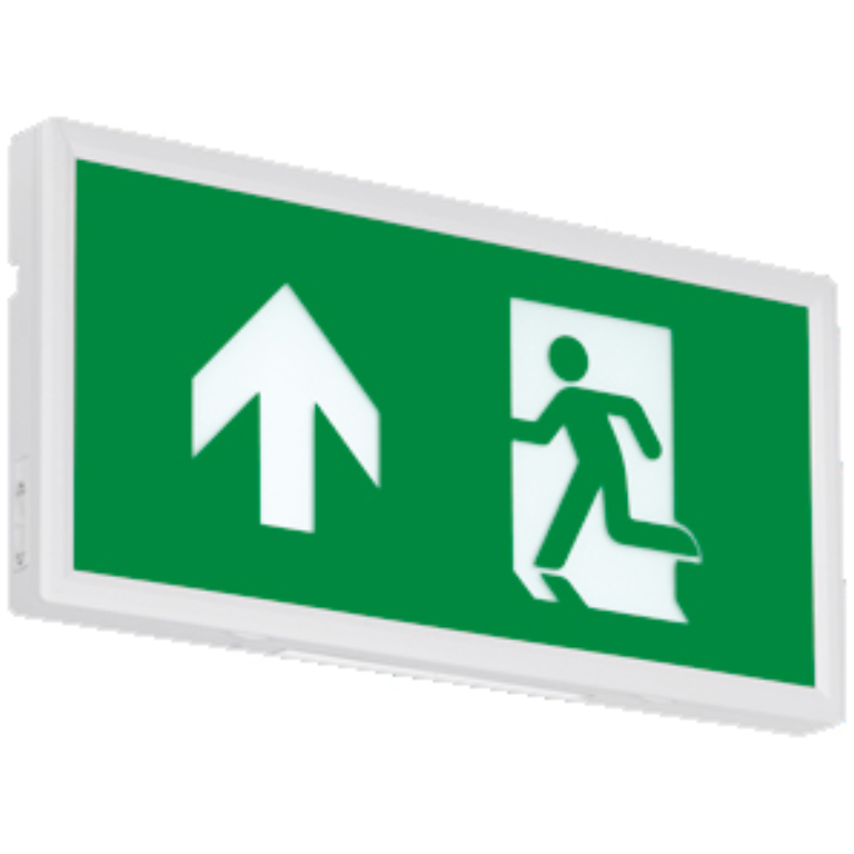 Aurora Lighting 4W Wall Mounted LED Emergency Exit Sign with Manual ...
