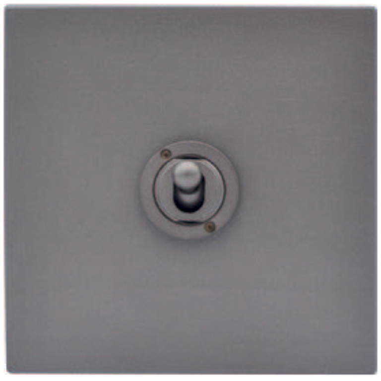 Hamilton Hartland CFX Basalt Gray 1 Gang 20AX 2 Way Toggle Switch with ...