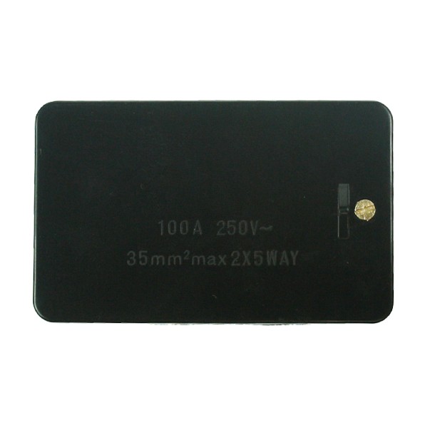 Click 100 Amp Double Pole Henley Block | UKES