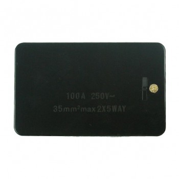 Click 100 Amp Double Pole Henley Block | UKES