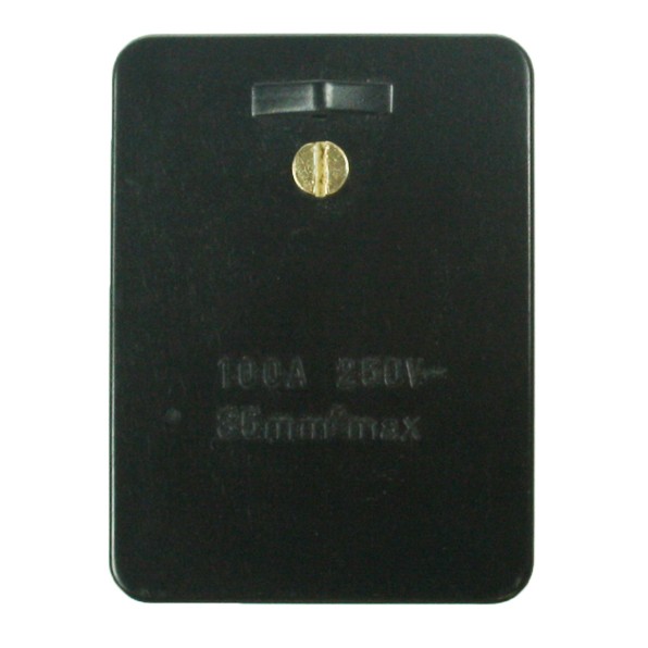 Click 100 Amp Single Pole Henley Block | UKES