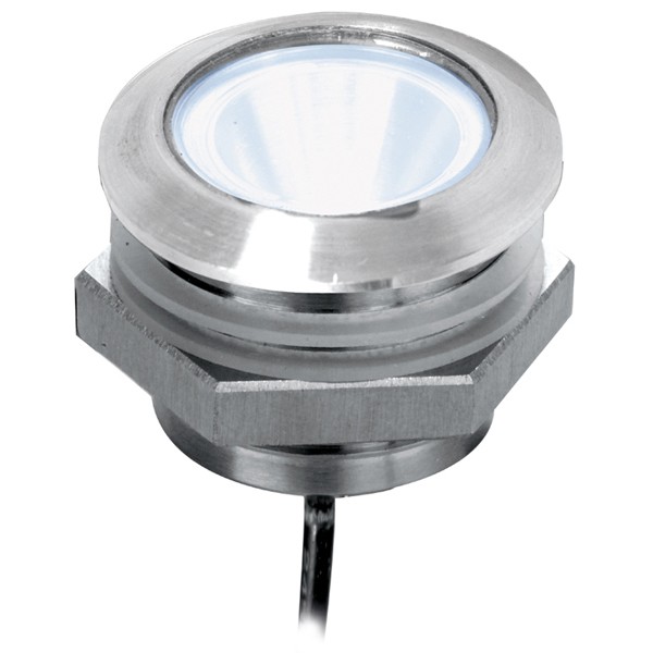 Aurora Lighting 350mA LED Stainless Steel IP68 1W LED Submersible Light ...