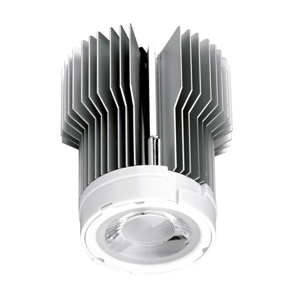 Aurora Lighting AU-MD10030/30 700mA 15W LEDchroic LED Module in Warm ...