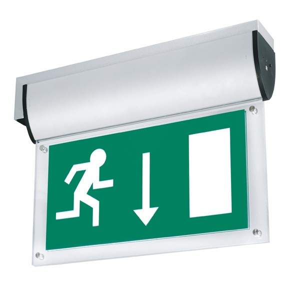 Aurora Lighting AU-LG2D AU-EMLED21/22/24 Down Emergency Exit Legend | UKES