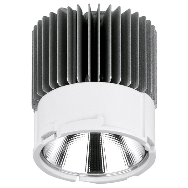 Aurora Lighting AU-MD10922/30 700mA 21W COB LED Module in Warm White | UKES