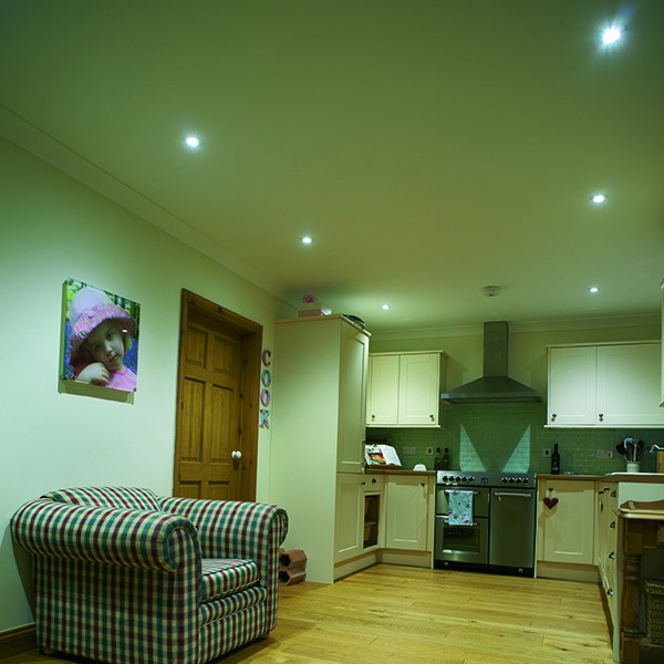 Collingwood Lighting Halers DLP60NWDIM-BEZELBS H2 Pro 60° Dimmable Fire ...