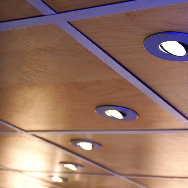 Collingwood Lighting Halers DL/01/BLK/WW/DIM H4 Adjustable Low Glare ...