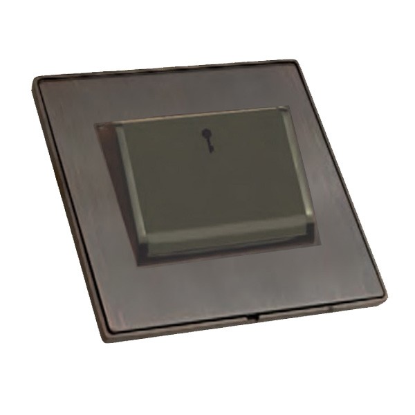 Hamilton Linea-Duo CFX Etrium Bronze Frame/Etrium Bronze Plate 12-24V ...