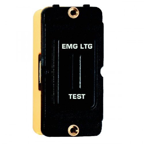 Hamilton GRID-IT 20AX 2 Way Key Switch Module Marked EMG LTG TEST with ...