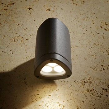 Robus Apex 4.5W 3000K Outdoor LED Wall/Spike Light | UKES