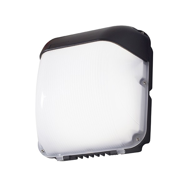 Robus Falcon 50W 5500K LED Wall Light (RFA05055-04) | UKES