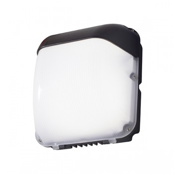 Robus Falcon 50W 5500K LED Wall Light (RFA05055-04) | UKES