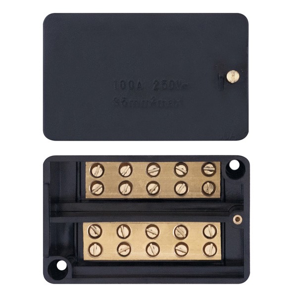Selectric 100A Double Pole 2x5 Way Link Box | UKES