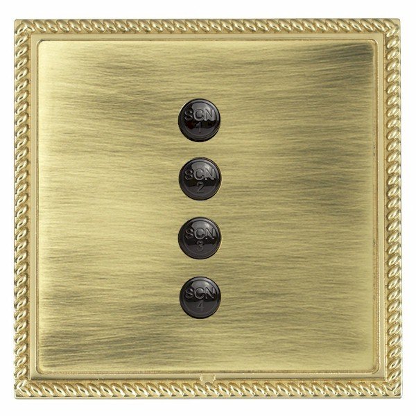 Hamilton Linea-Georgian CFX Polished Brass Frame/Antique Brass Plate 4 ...