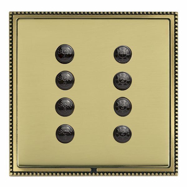 Hamilton Linea-Perlina CFX Antique Brass Frame/Polished Brass Plate 8 ...