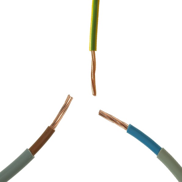 3 Meter Cut of 16.00mm Double Insulated Brown and Blue Meter Tails and ...