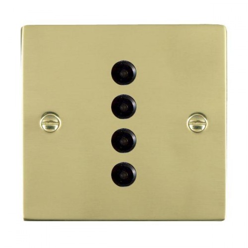 Hamilton Sheer Polished Brass 4 Button Slave Control Panel with Black ...